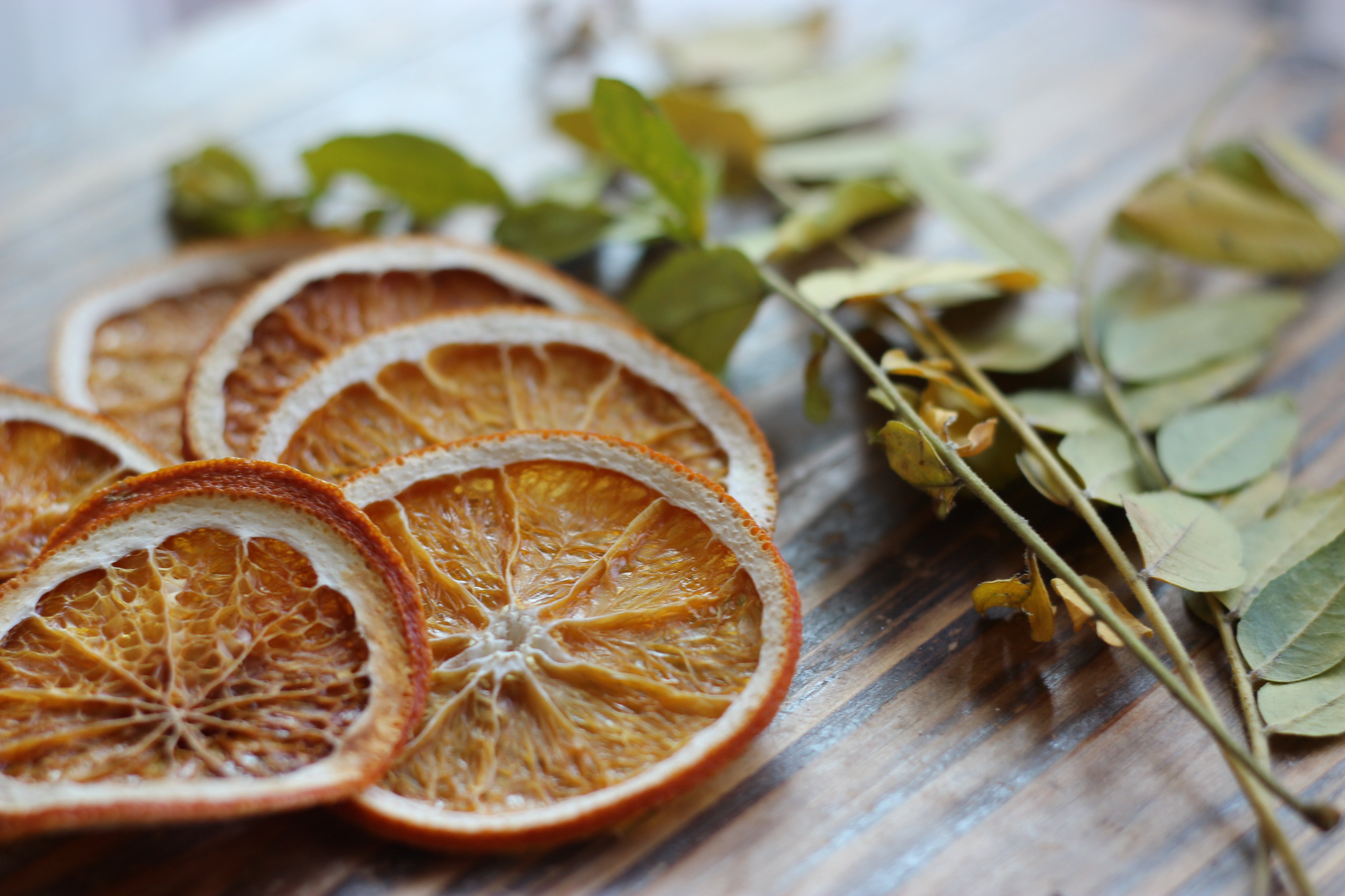 Create: No. 29 | Dried Oranges – Lottie Mae